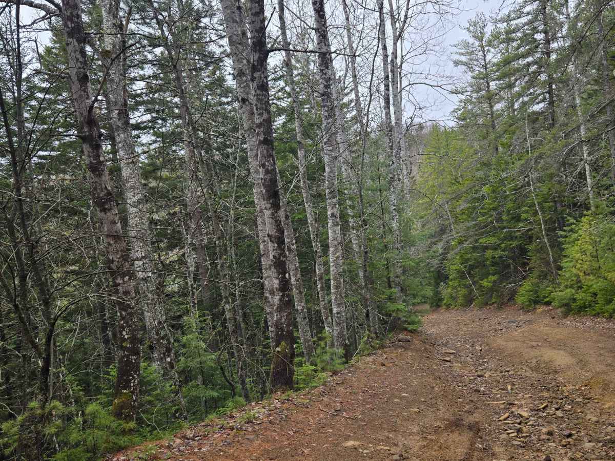 Hardscrabble Road | Off-Road Trail Maps, Difficulty, Trail Status | onX ...