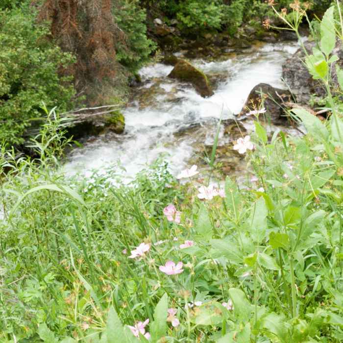 Middle Fork Waterfall Hike Hiking Trail | Map, Difficulty, Trail Status ...