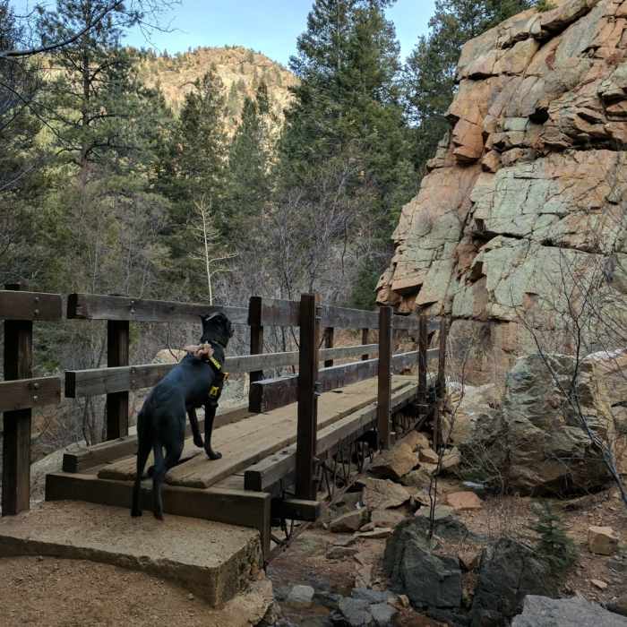 Mount Rosa via Pipeline Trail Hiking Trail | Map, Difficulty, Trail ...