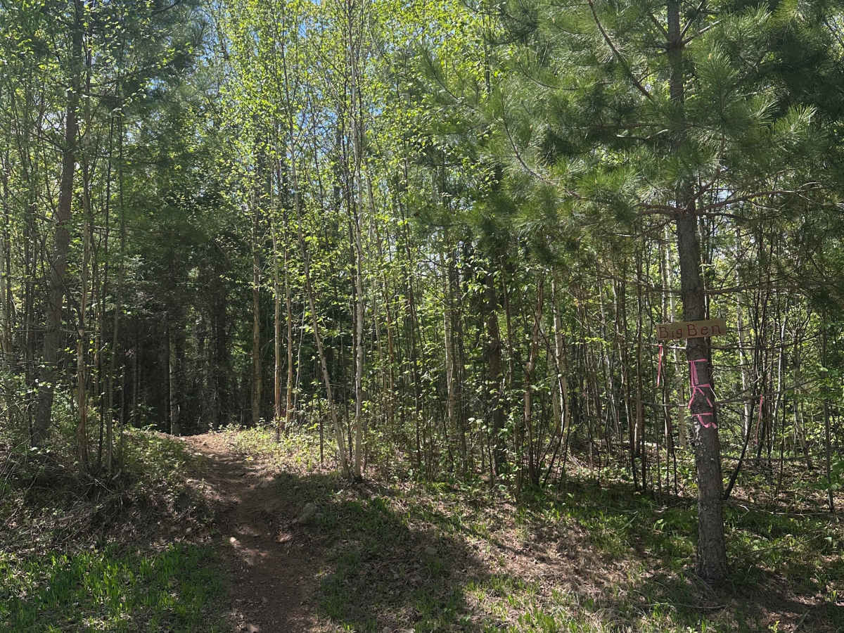 Big Ben (M25 Section 2) | Off-Road Trail Maps, Difficulty, Trail Status ...