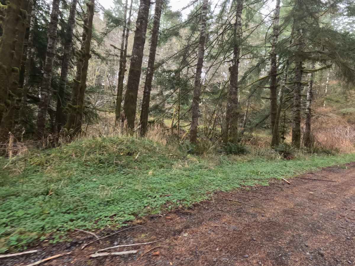 3000 Road | Off-Road Trail Maps, Difficulty, Trail Status | onX Offroad