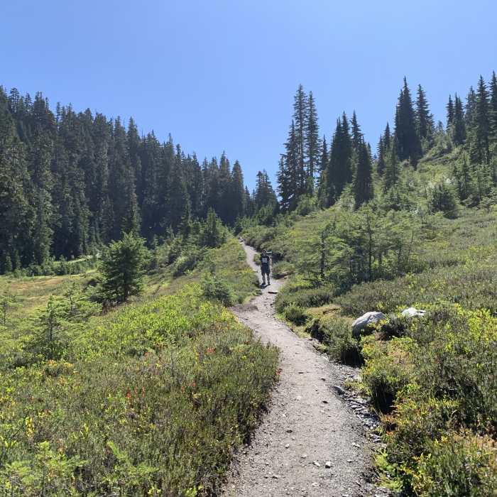 Anderson and Watson Lakes Hiking Trail | Map, Difficulty, Trail Status ...