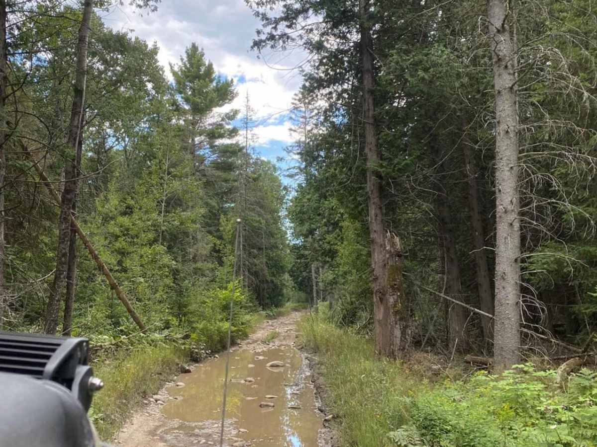 Nevenens Road Loop | Off-Road Trail Maps, Difficulty, Trail Status ...