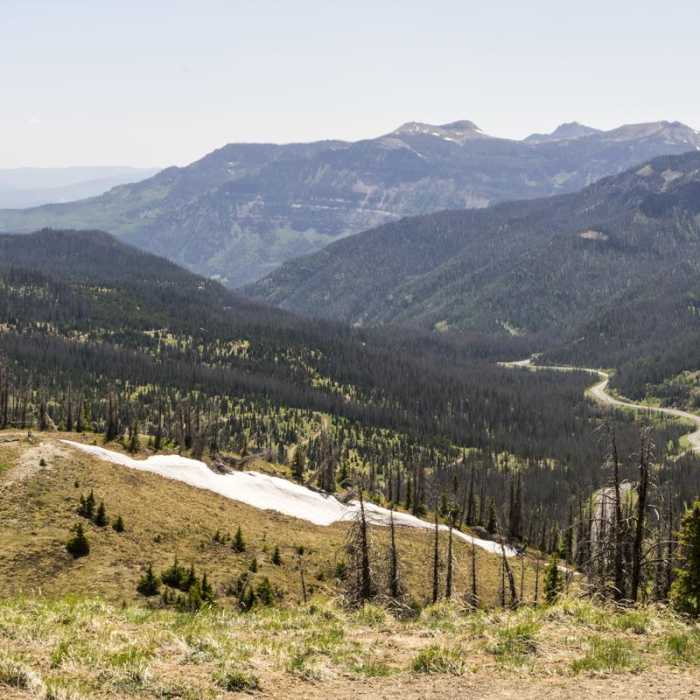 Lobo Pass Trail + Continental Divide Trail Hiking Trail | Map ...