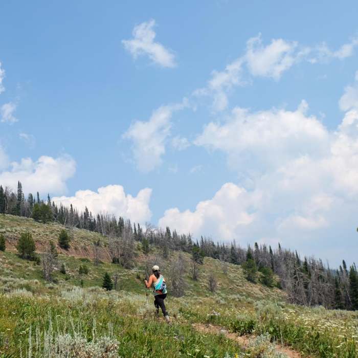 Cinnamon Mountain Lookout Hiking Trail | Map, Difficulty, Trail Status ...