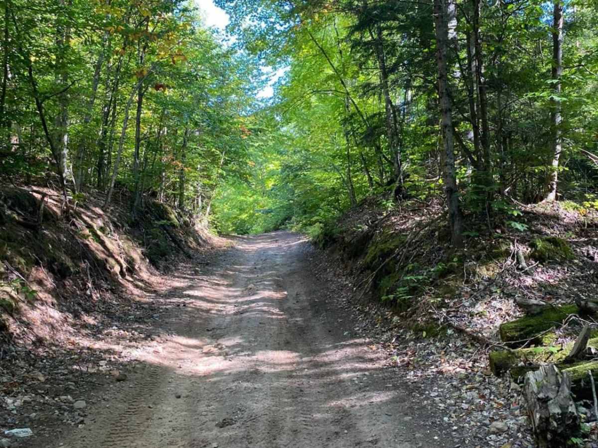 Candy Cane Lane - Trail 419 | Off-Road Trail Maps, Difficulty, Trail ...