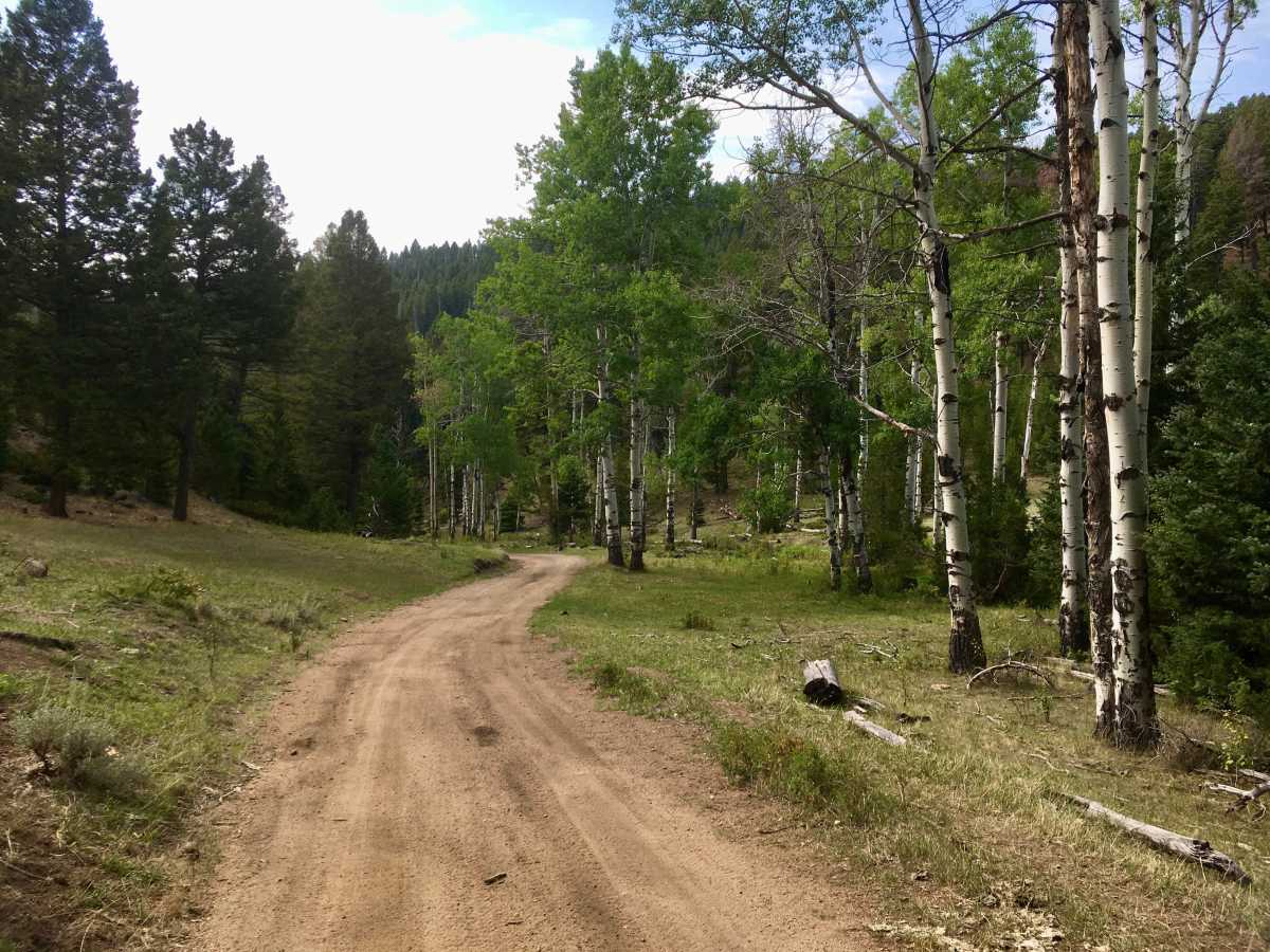 North Fork Road | Off-Road Trail Maps, Difficulty, Trail Status | onX ...