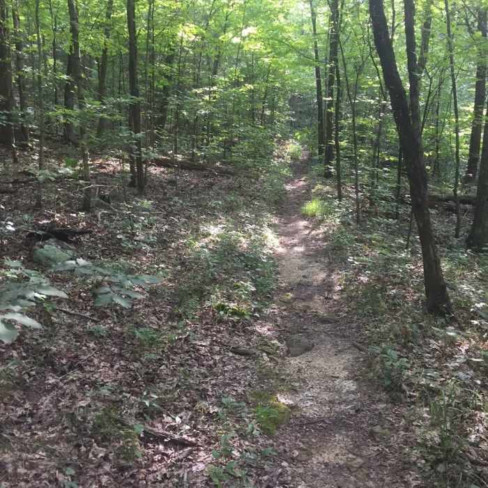 Rock Wall Trail | Hiking Trail Maps, Difficulty, Trail Status | onX