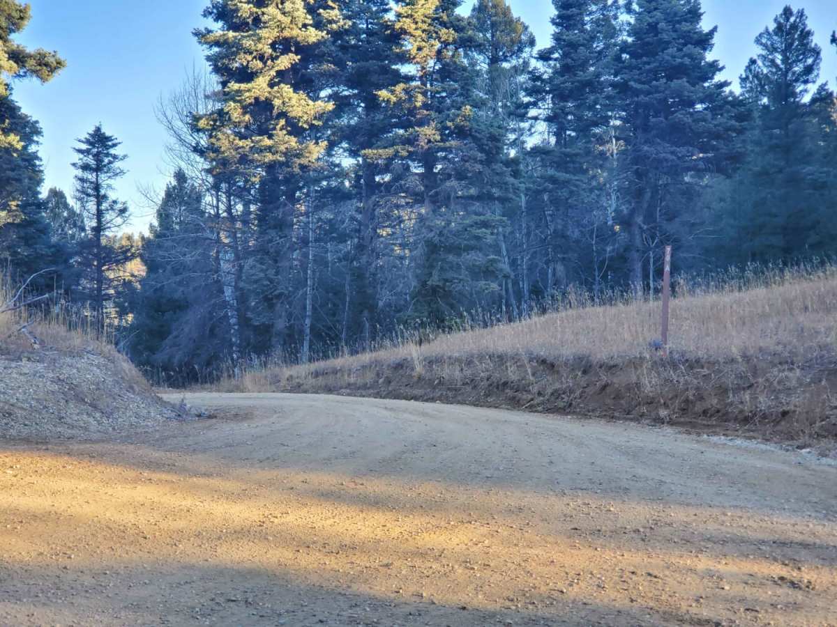 Osha Pass/70b | Off-Road Trail Maps, Difficulty, Trail Status | onX Offroad