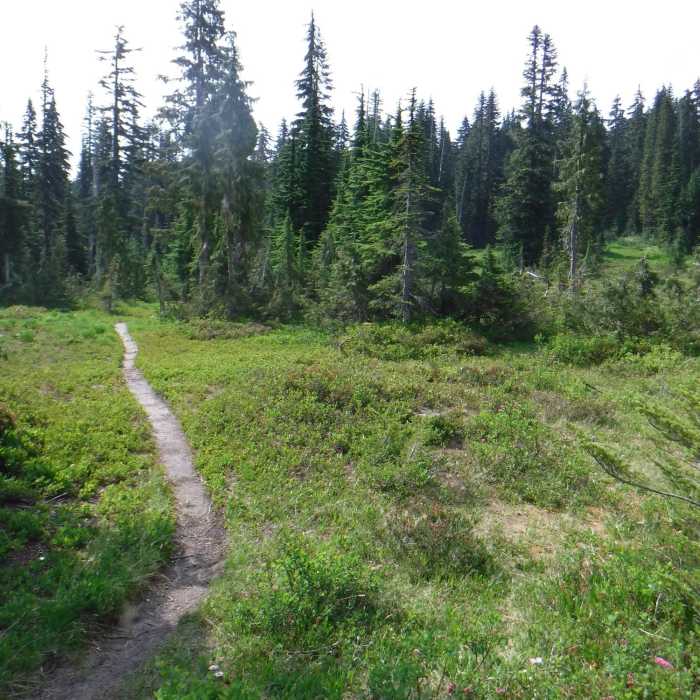 Tonga Ridge Trail #1058 | Hiking Trail Maps, Difficulty, Trail Status | onX