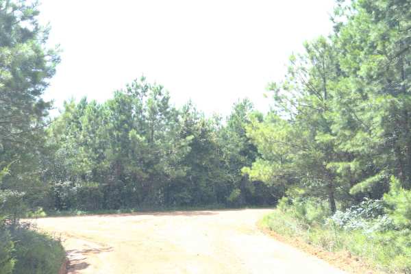 Best Off-Road Trails Near Mosses, Alabama | Maps, Ratings & Info | onX