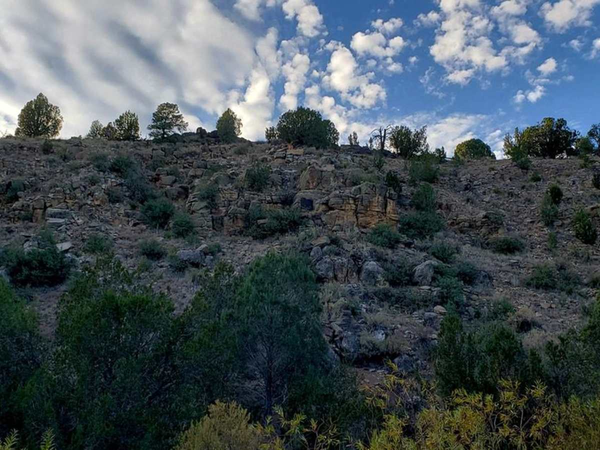 Cactus Flats | Off-Road Trail Maps, Difficulty, Trail Status | onX Offroad