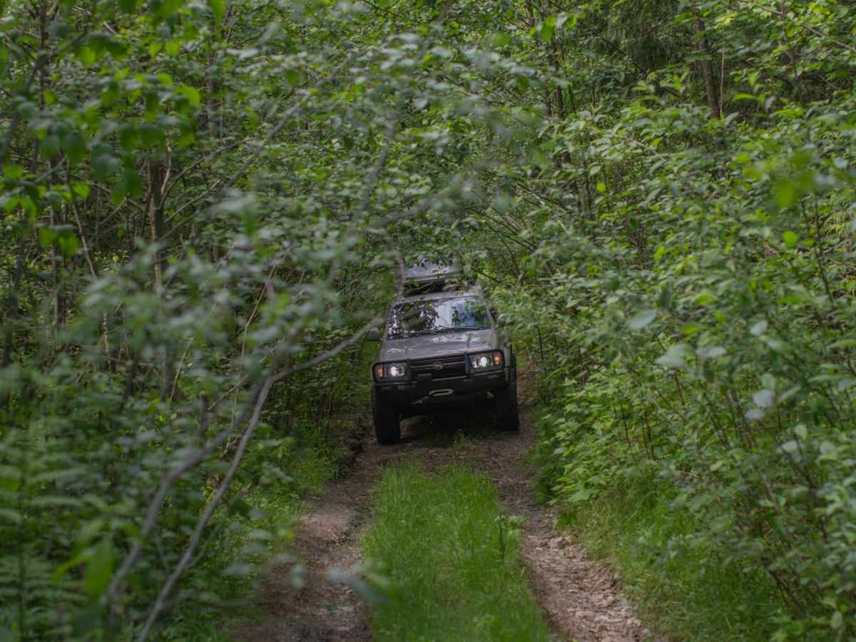 Olympic National Forest Service Road 30 | Off-Road Trail Maps ...