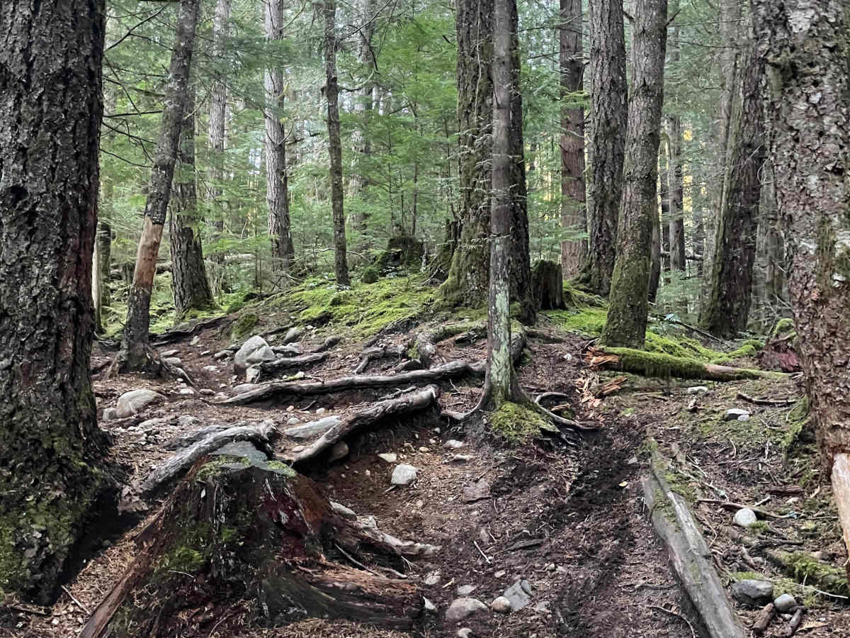 Run Eddy Run | Off-Road Trail Maps, Difficulty, Trail Status | onX Offroad