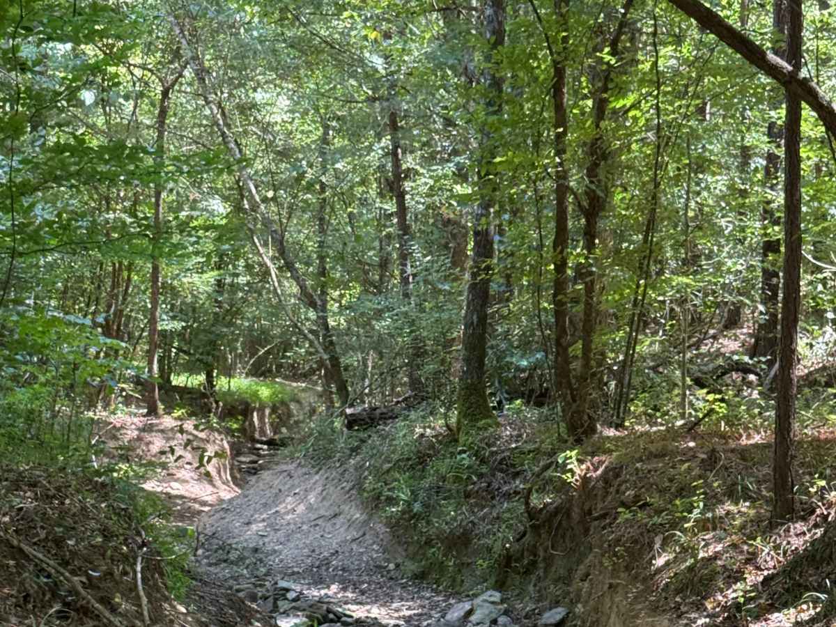Crooked Creek | Off-Road Trail Maps, Difficulty, Trail Status | onX Offroad
