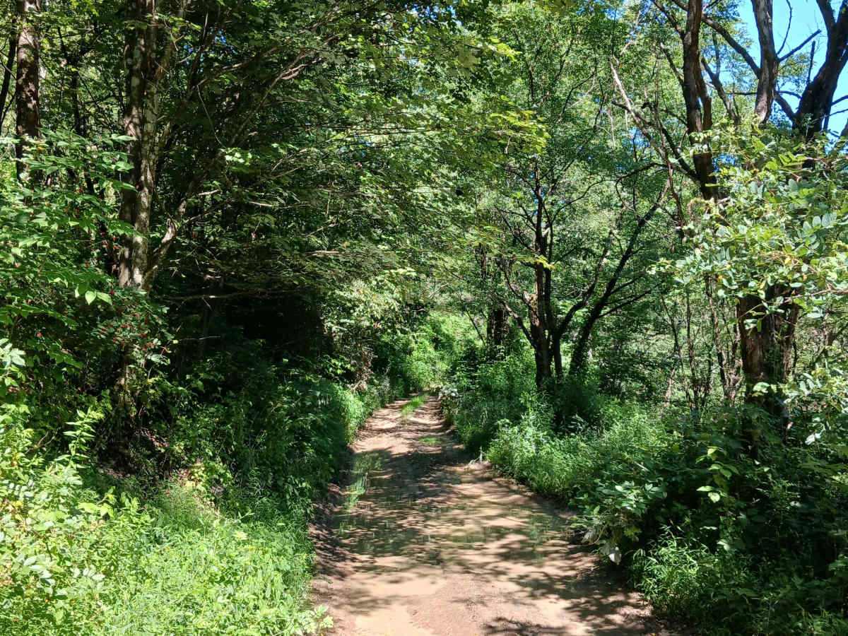 Trail 13H - Rock Run Recreation Area | Off-Road Trail Maps, Difficulty ...