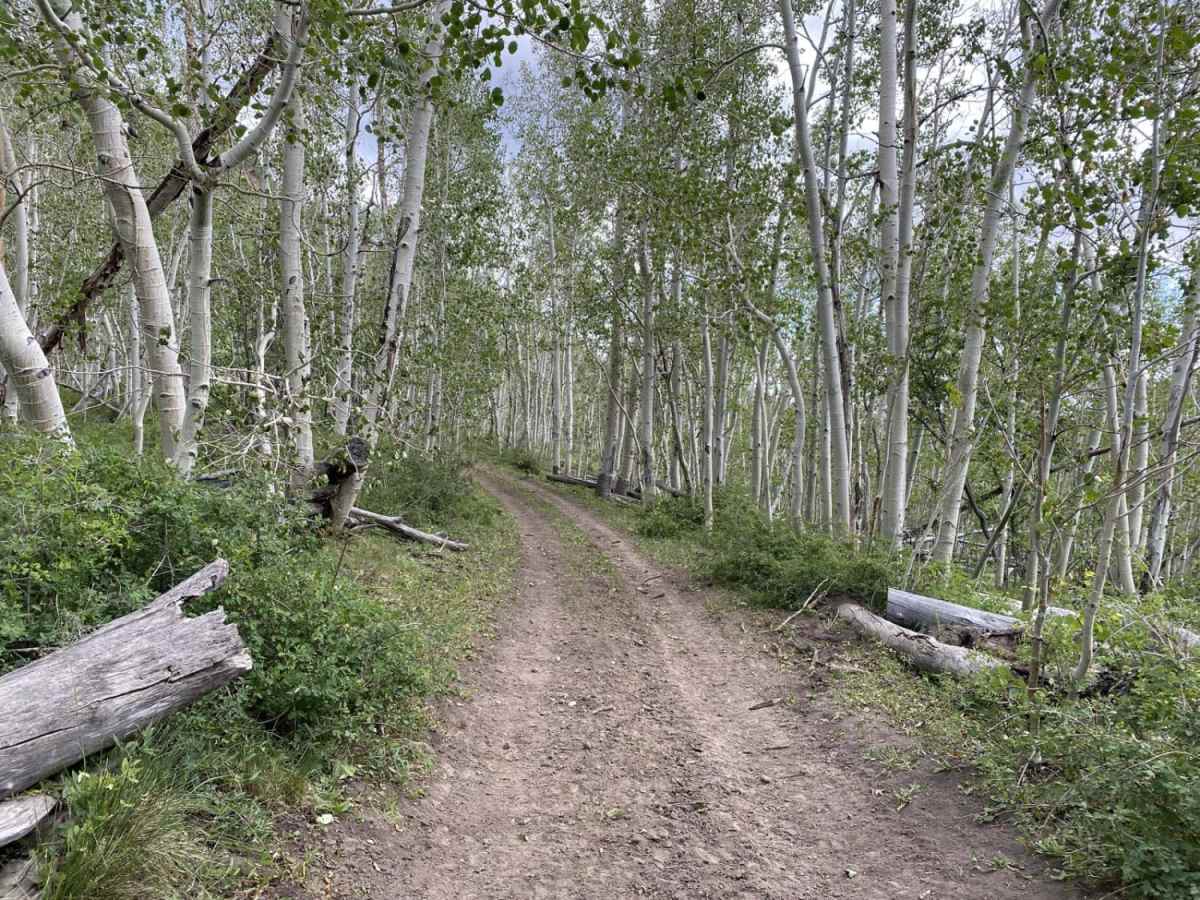 Sheep Valley-Tommy Hollow Trail | Off-Road Trail Maps, Difficulty ...