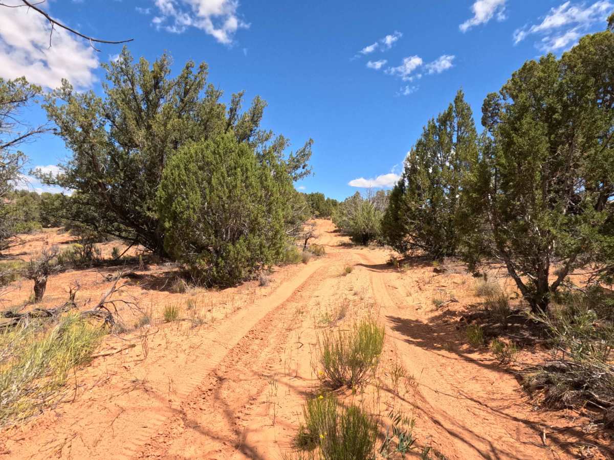 BLM 101G | Off-Road Trail Maps, Difficulty, Trail Status | onX Offroad