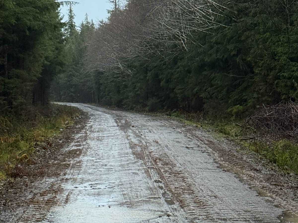 Ferguson Forest Service Road | Off-Road Trail Maps, Difficulty, Trail ...