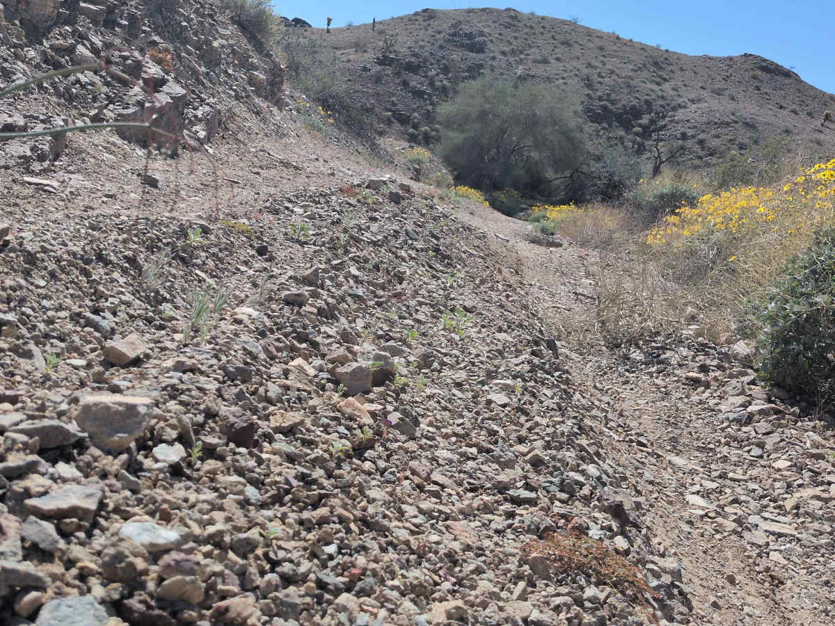 BLM 729 | Off-Road Trail Maps, Difficulty, Trail Status | onX Offroad