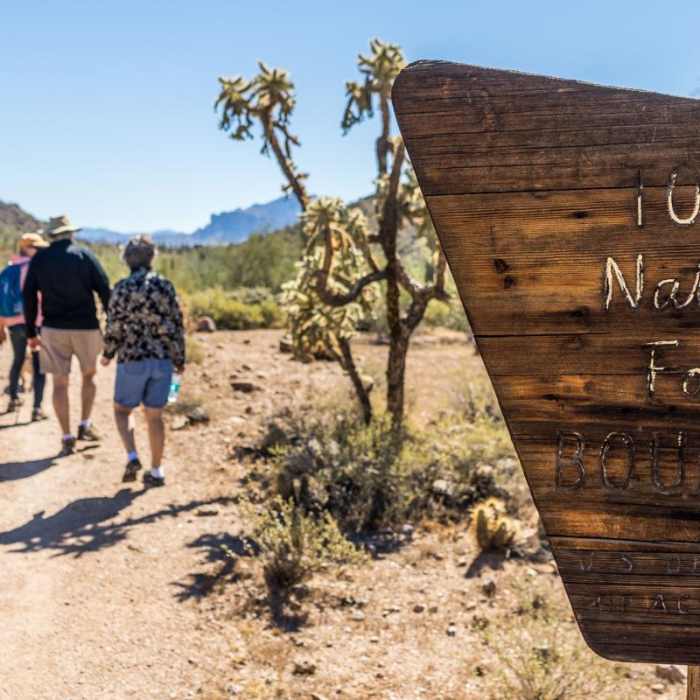 Cat Peaks Trail Hiking Trail | Map, Difficulty, Trail Status | onX