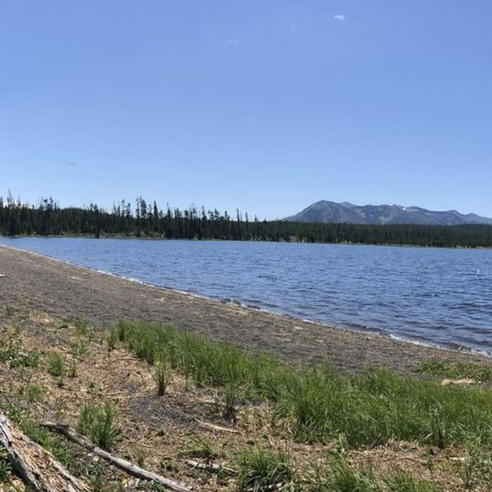Riddle Lake Trail | Hiking Trail Maps, Difficulty, Trail Status | onX