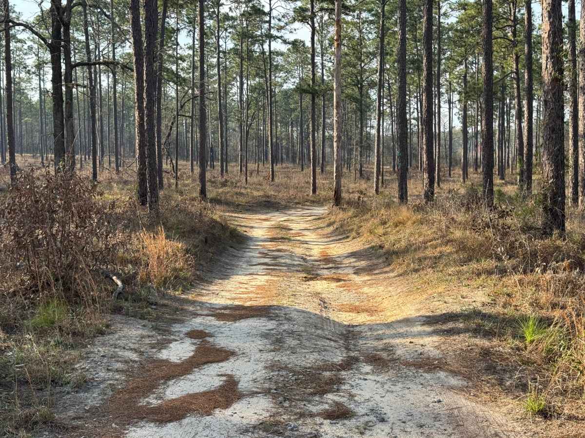 Lake Lane | Off-Road Trail Maps, Difficulty, Trail Status | onX Offroad