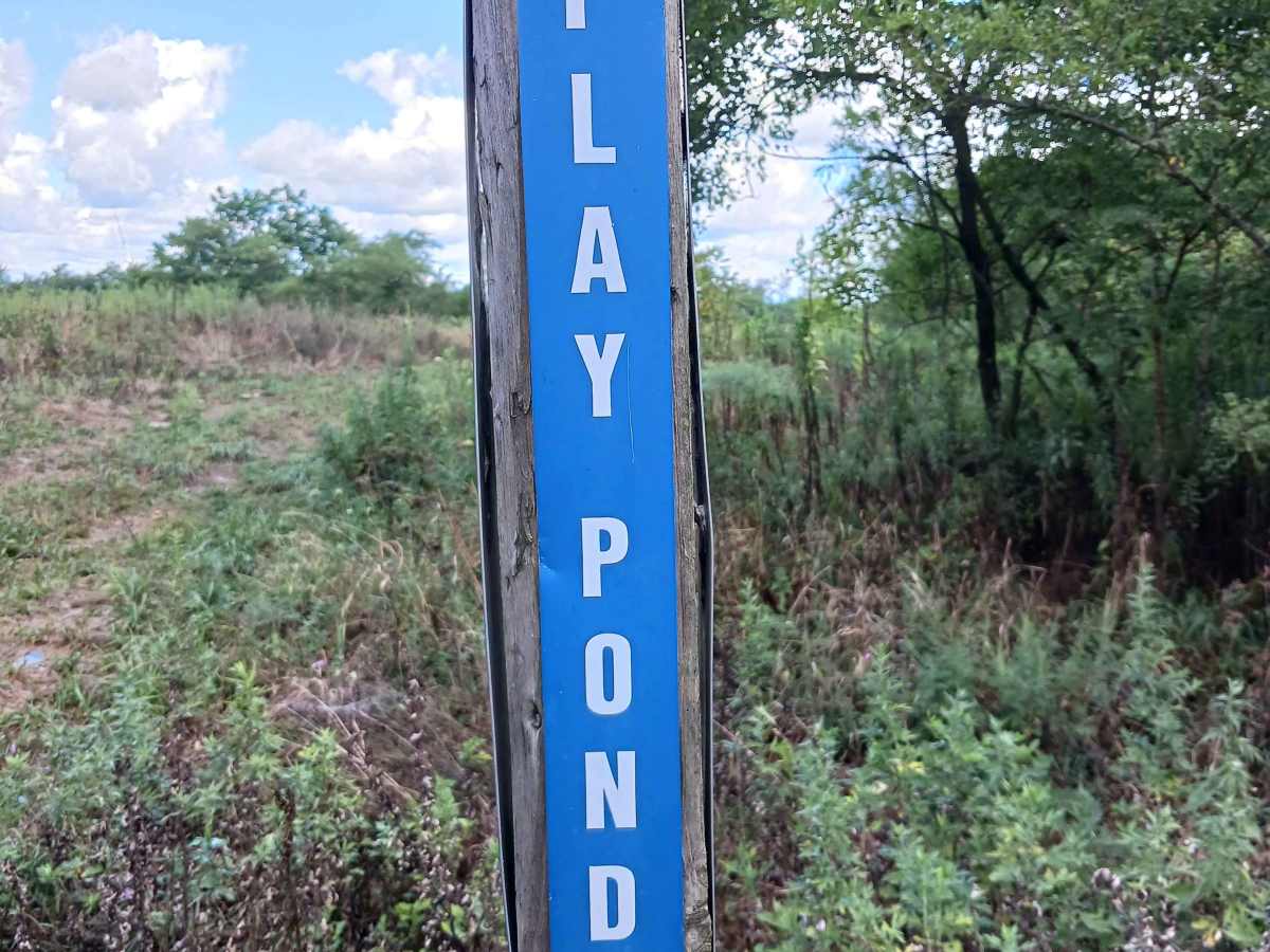 Play Pond Path Blue Trail - Rock Run Recreation Area | Off-Road Trail ...
