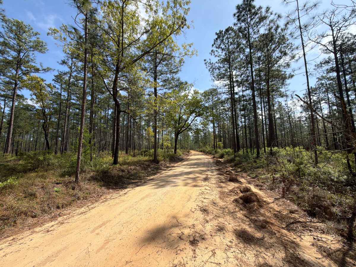 Carpenter Road | Off-Road Trail Maps, Difficulty, Trail Status | onX ...