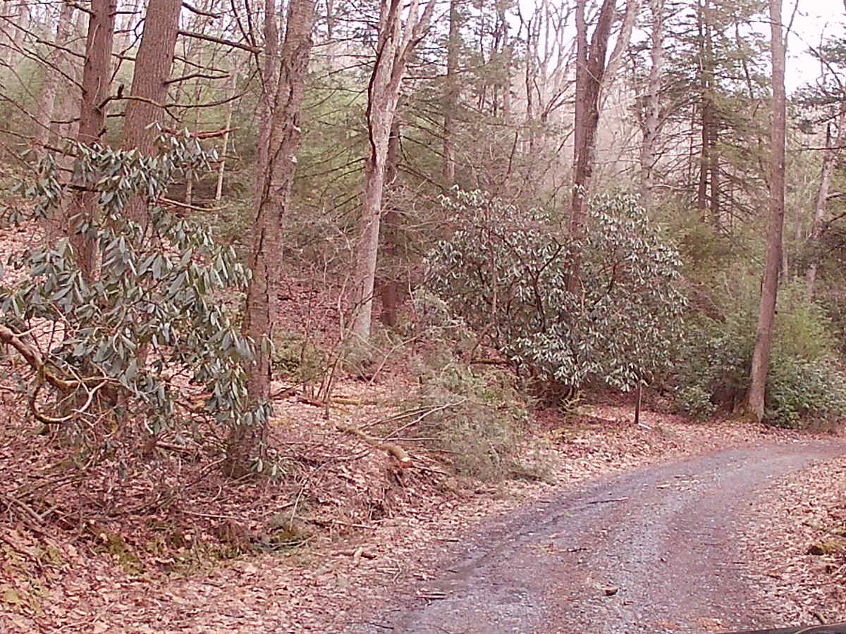 Corner Road | Off-Road Trail Maps, Difficulty, Trail Status | onX Offroad