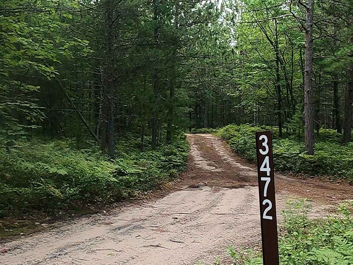 Long Branch - FS 3472 | Off-Road Trail Maps, Difficulty, Trail Status ...