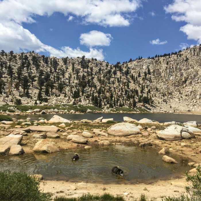Cirque Peak Hiking Trail | Map, Difficulty, Trail Status | onX