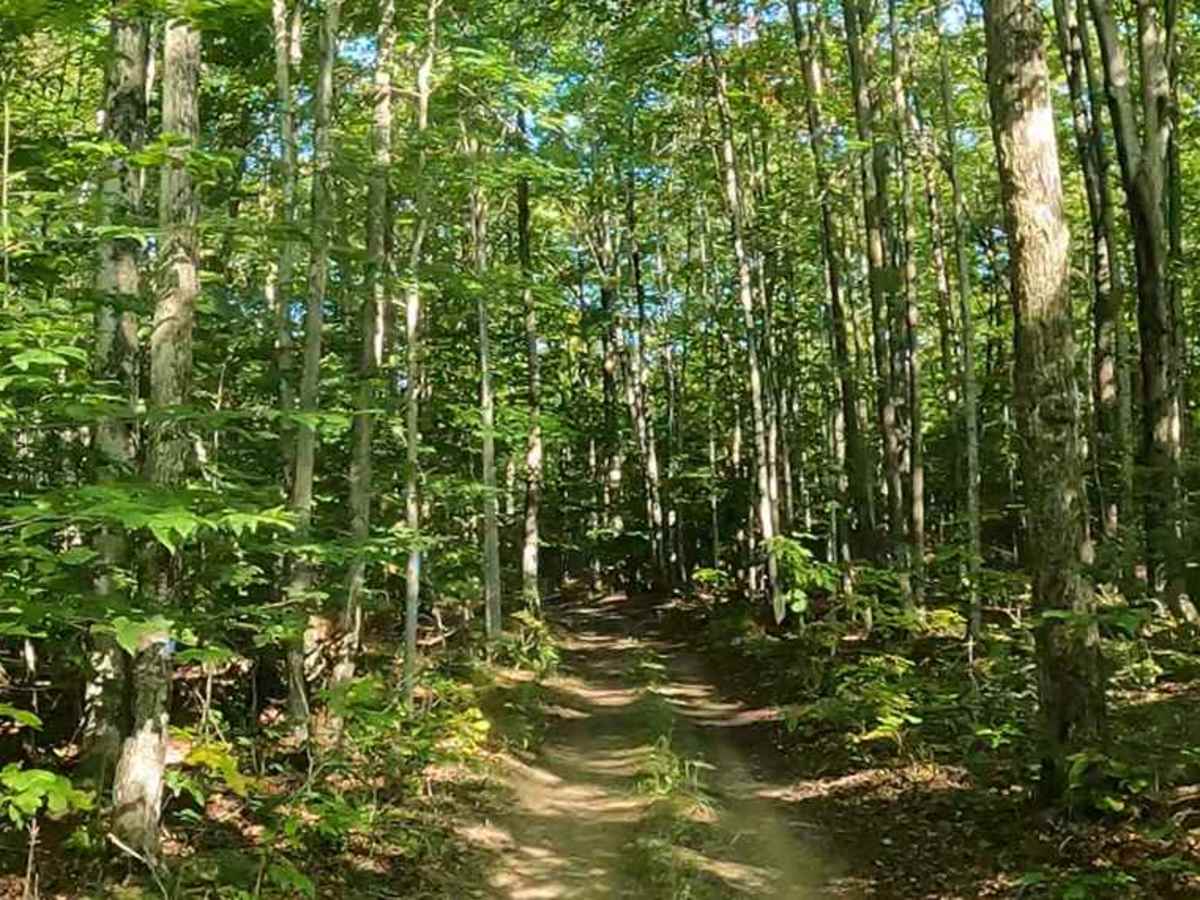Limestone Road | Off-Road Trail Maps, Difficulty, Trail Status | onX ...