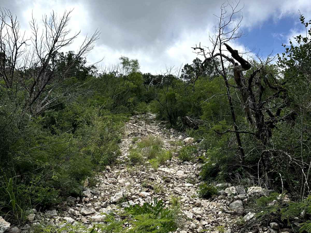 Danger Lane | Off-Road Trail Maps, Difficulty, Trail Status | onX Offroad