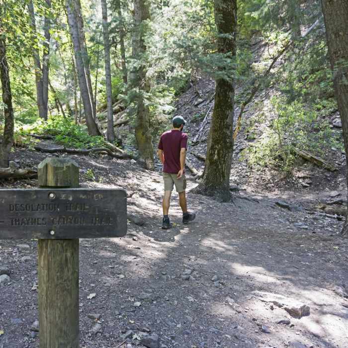 Salt Lake Overlook via Desolation Trail Hiking Trail | Map, Difficulty ...