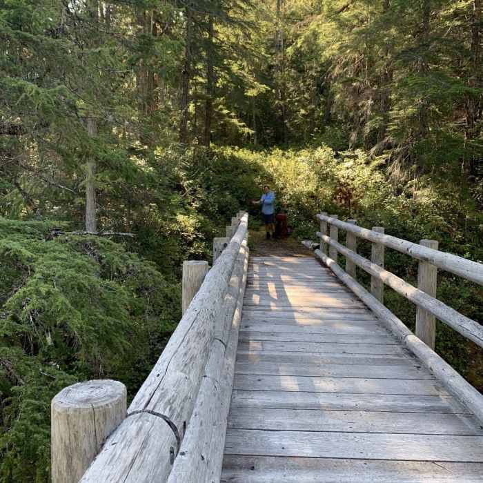 West Fork Dosewallips River Trail | Hiking Trail Maps, Difficulty ...