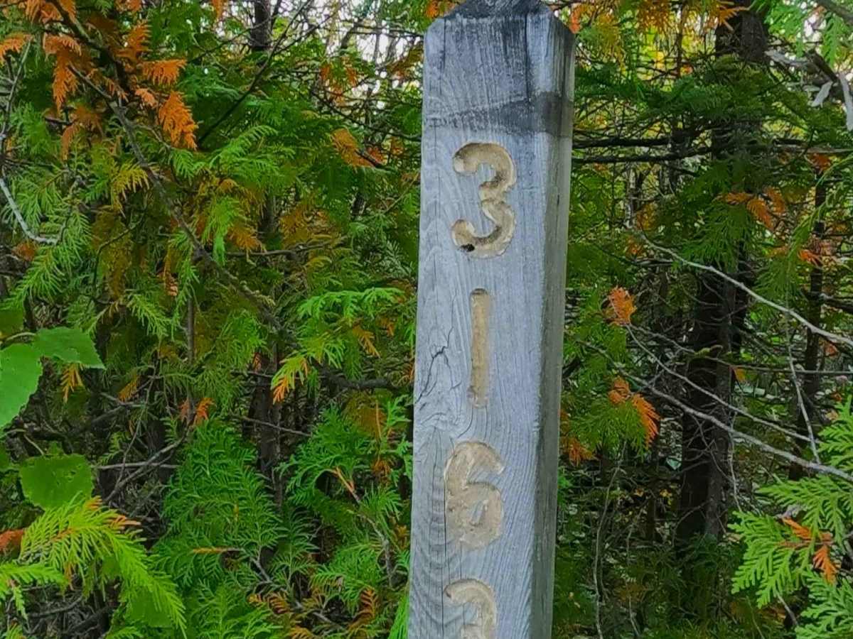 Old Castle Rock Trail - FS 3163 | Off-Road Trail Maps, Difficulty ...