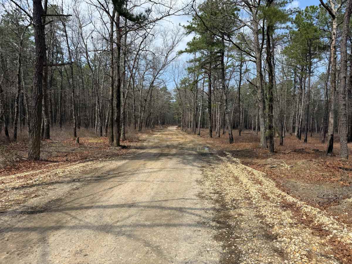 Jones Road Trail | Off-Road Trail Maps, Difficulty, Trail Status | onX ...