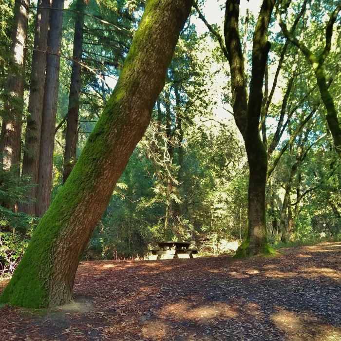 Merry-Go-Round Trail | Hiking Trail Maps, Difficulty, Trail Status | onX