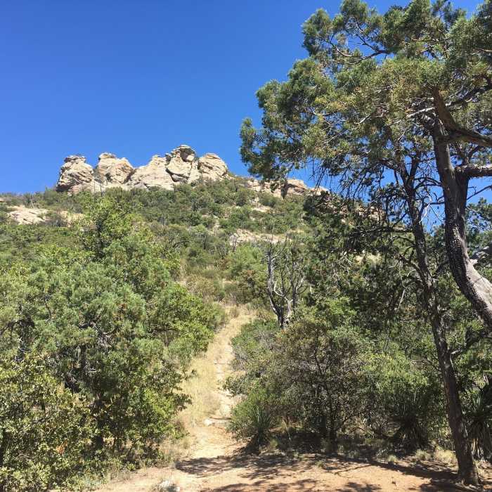 Tanque Verde Ridge Trail | Hiking Trail Maps, Difficulty, Trail Status ...