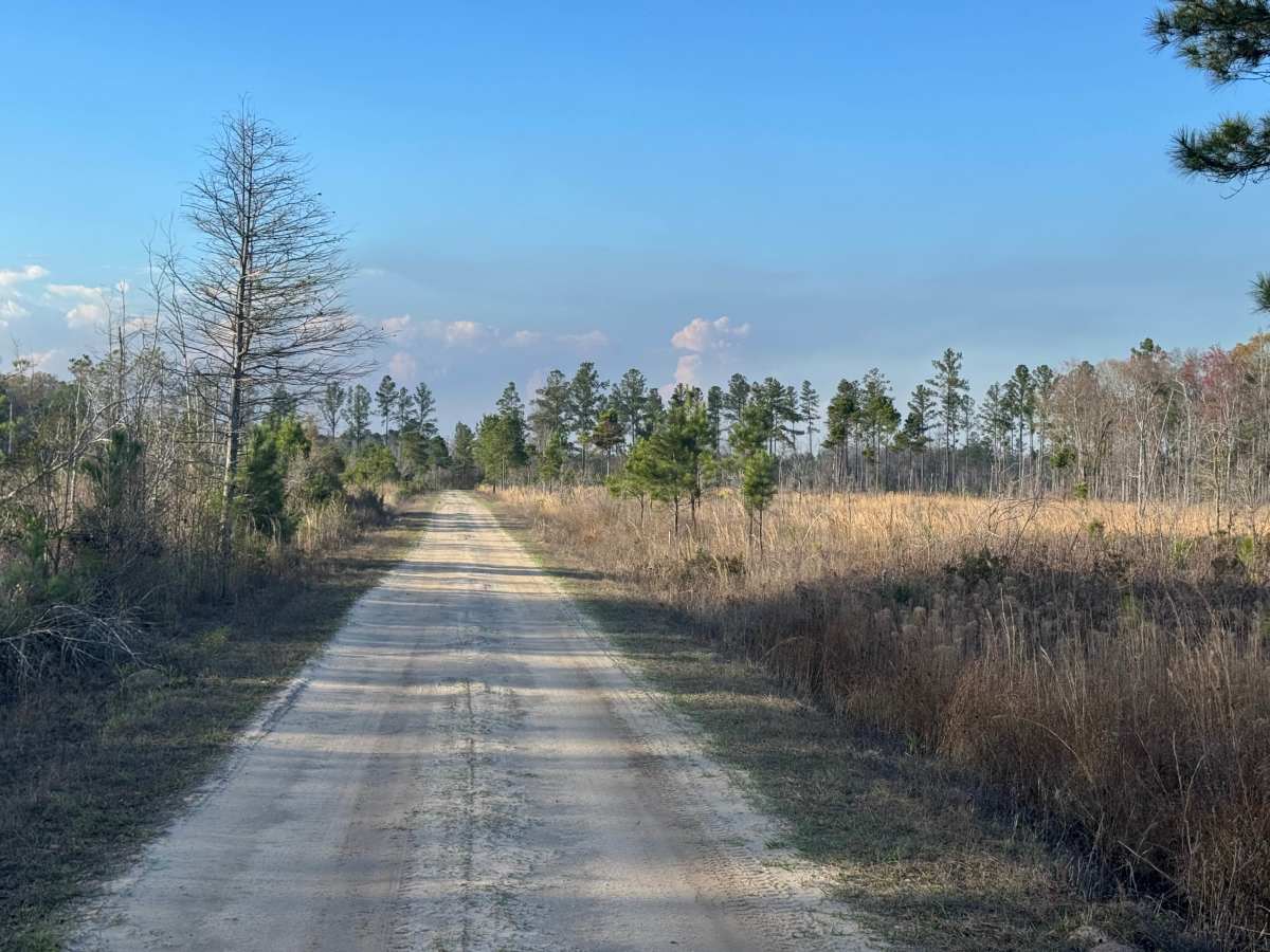 Canal Branch Road | Off-Road Trail Maps, Difficulty, Trail Status | onX ...