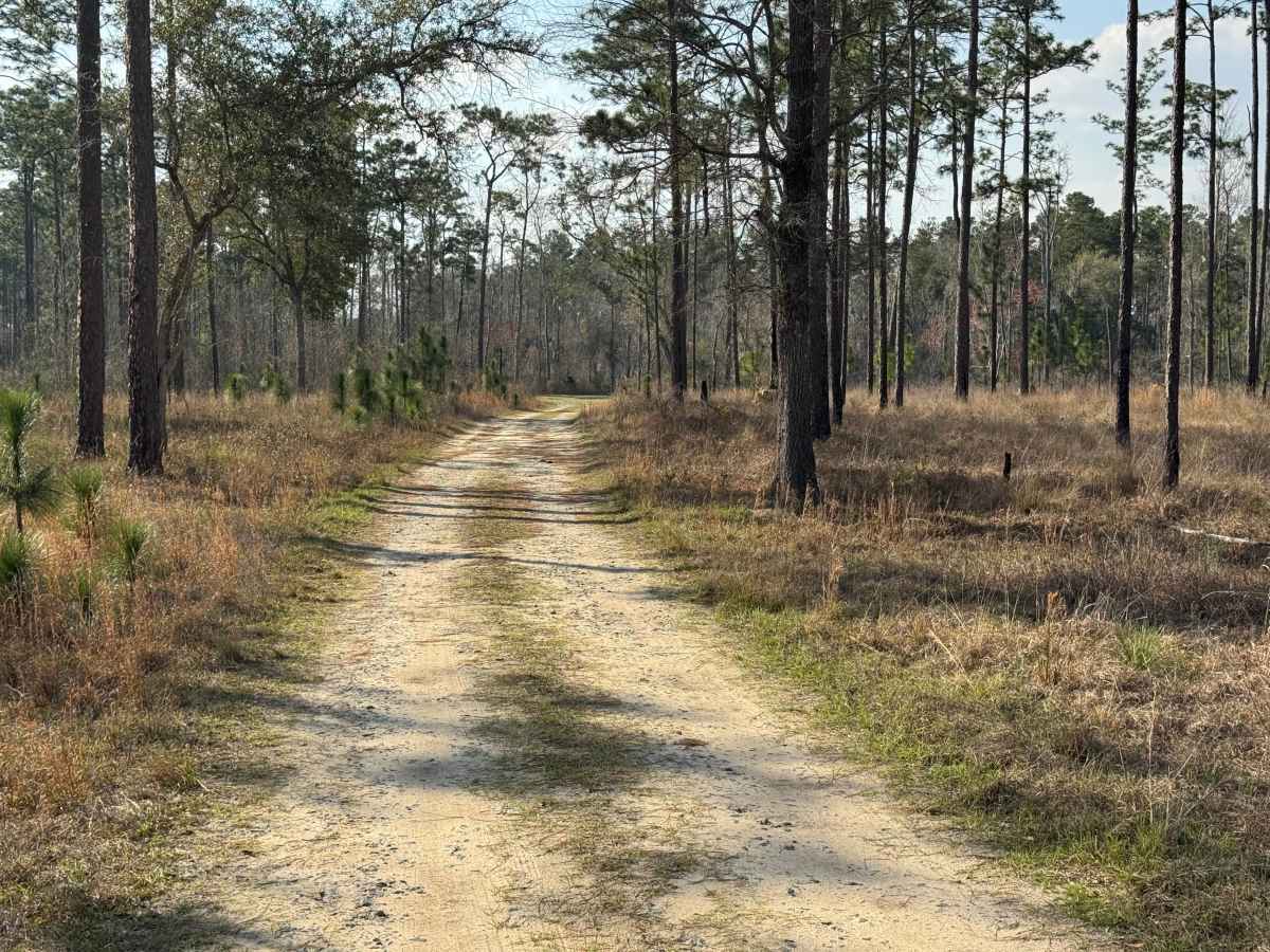 Frog Pond Road | Off-Road Trail Maps, Difficulty, Trail Status | onX ...