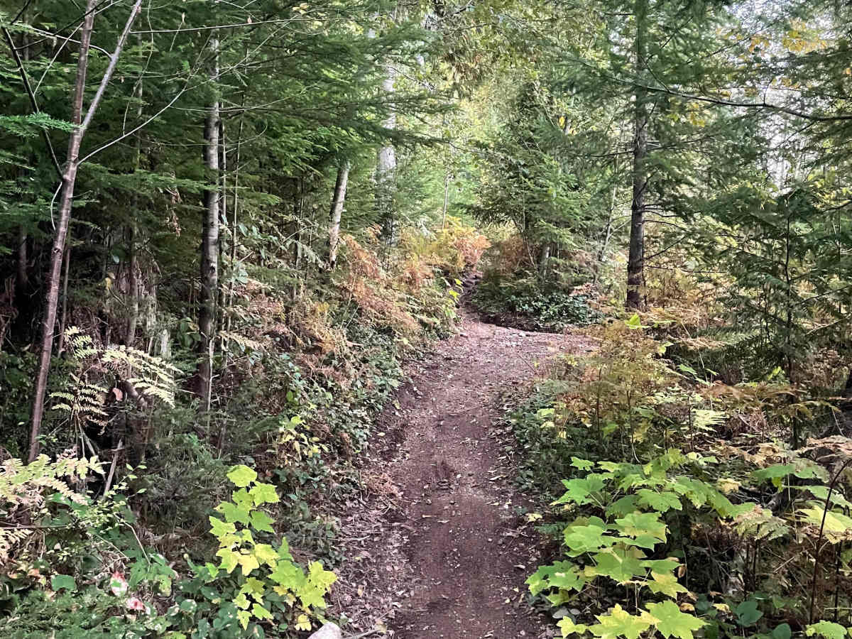 Fun in the Sun | Off-Road Trail Maps, Difficulty, Trail Status | onX ...