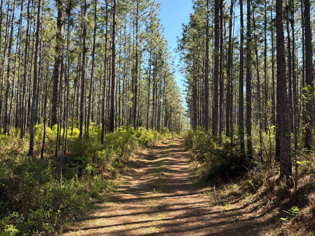 R 123 | Off-Road Trail Maps, Difficulty, Trail Status | onX Offroad