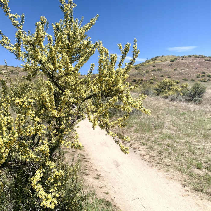 Military Reserve: Central Ridge Hiking Trail | Map, Difficulty, Trail ...