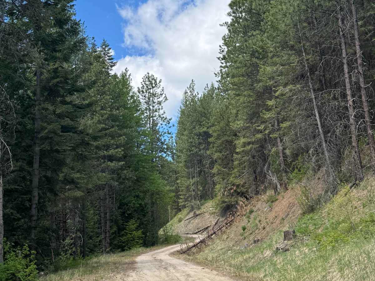 Bridge Creek - FS 2020-120 | Off-Road Trail Maps, Difficulty, Trail ...
