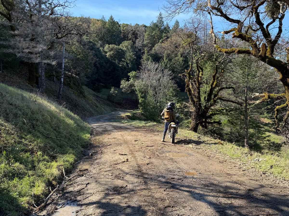 Low Gap Road | Off-Road Trail Maps, Difficulty, Trail Status | onX Offroad