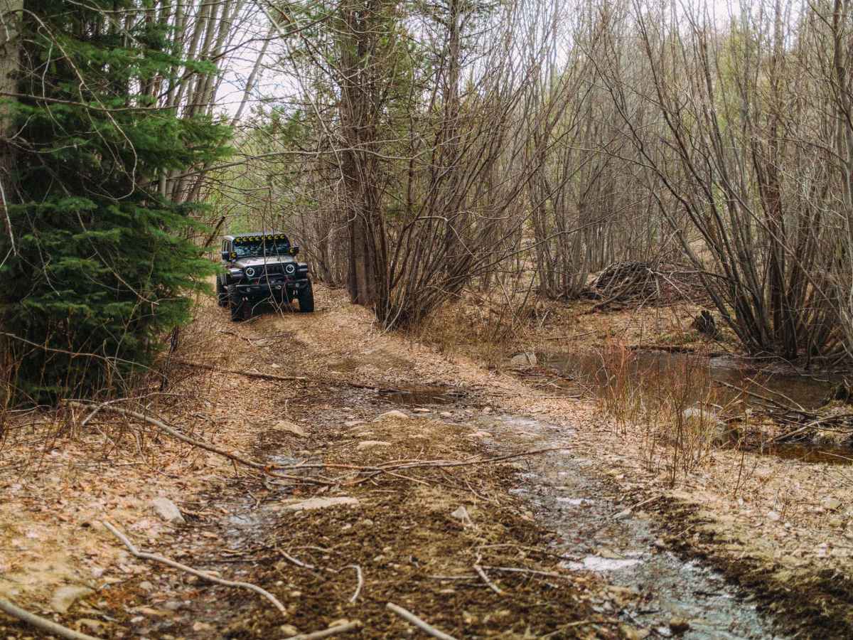 Pipeline Hill Climb Connector - KVRT | Off-Road Trail Maps, Difficulty ...