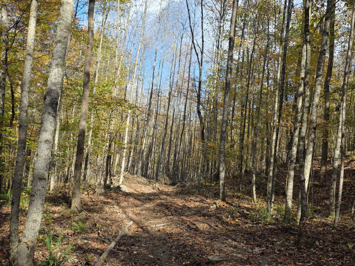 Right Turn | Off-Road Trail Maps, Difficulty, Trail Status | onX Offroad