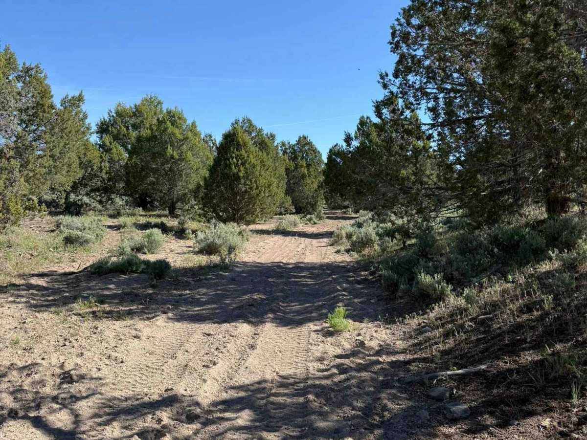 Color Country North Hills Segment Trail 9 | Off-Road Trail Maps ...